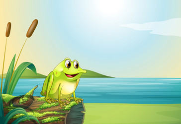A frog at the lake Royalty Free Vector Image - VectorStock
