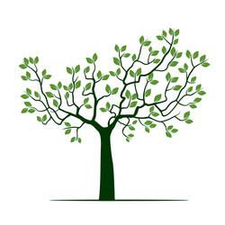 Color tree with roots Royalty Free Vector Image