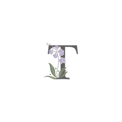 Calligraphy Alphabet T Vector Images (over 10,000)