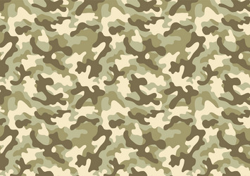 Camouflage seamless pattern Royalty Free Vector Image