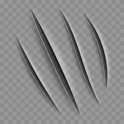 Claw Rip Vector Images (over 1,100)