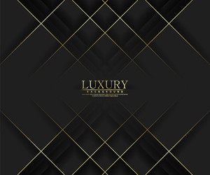 Premium background abstract luxury pattern gold Vector Image