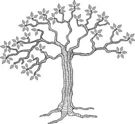 Mangrove tree roots hand drawing Royalty Free Vector Image