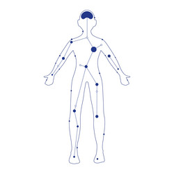 Body Structure Vector Images (over 12,000)