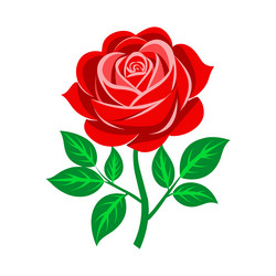 Hand draw red rose Royalty Free Vector Image - VectorStock