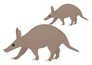 Aardvark animal on a white background Royalty Free Vector