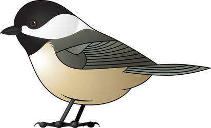 Simple Chickadee Drawing