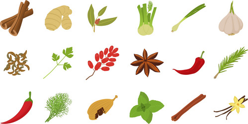 Spices icon set Royalty Free Vector Image - VectorStock