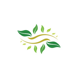 Gradation Pattern Leaf Vector Images (over 250)