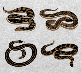 Ball Python Icon Vector Images (41)