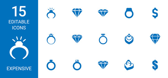 Expensive icons Royalty Free Vector Image - VectorStock