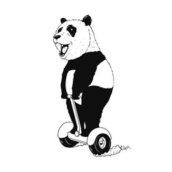 Panda rides on bicycle Royalty Free Vector Image