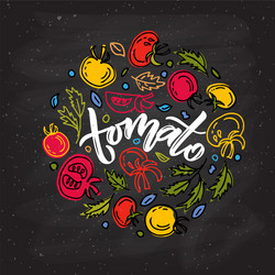 Hand sketched tomato product lettering typography Vector Image