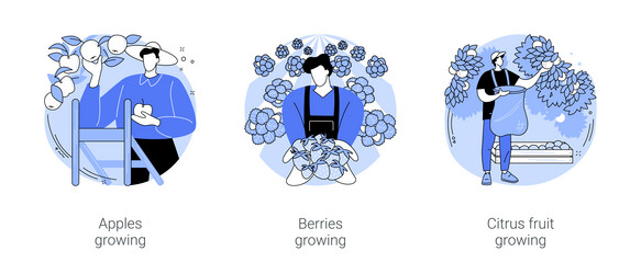 Citrus fruit growing isolated cartoon Royalty Free Vector