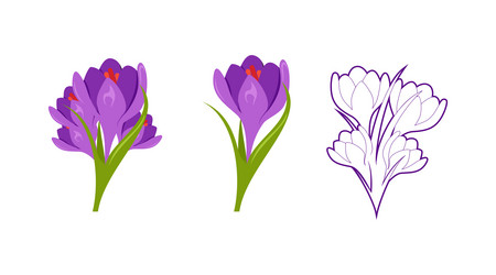 Set of saffron logo template Royalty Free Vector Image
