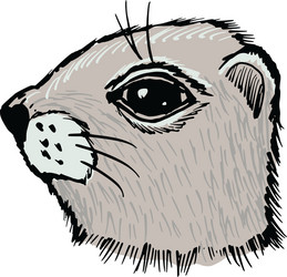 Gopher Vector Images (over 730)