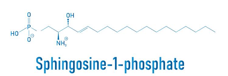 Sphingosine-1-phosphate molecule skeletal formula Vector Image