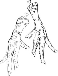 Chicken Feet Vector Images (over 550)