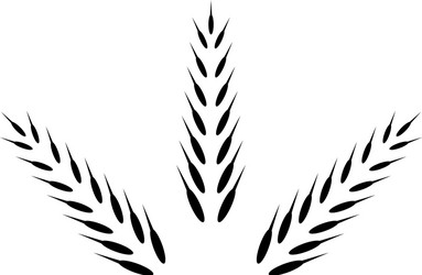Wheat symbol Royalty Free Vector Image - VectorStock