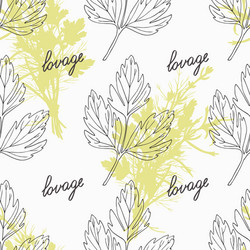 Hand drawn chervil branch and handwritten sign Vector Image