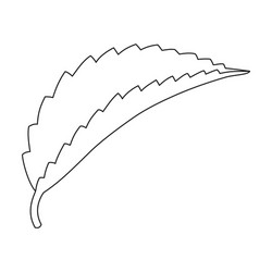 Mint leaf outline icon Royalty Free Vector Image
