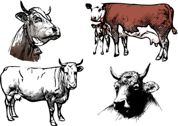 Cow Vector Images (over 110,000)