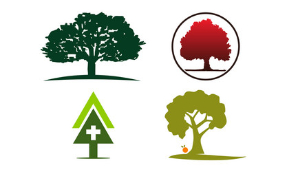Oak tree template set Royalty Free Vector Image