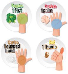 Comparing hand portion sizes for healthy eating Vector Image