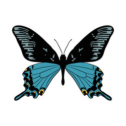 Drawing yellow swallowtail butterfly Royalty Free Vector