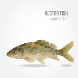 Polygon Fish Vector Images (over 1,500)