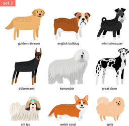 Designer Dog Breeds Vector Images (over 33,000)