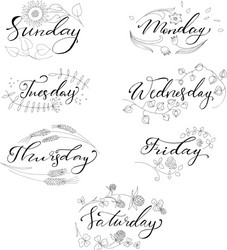 Handwritten week days and symbols set ink font Vector Image