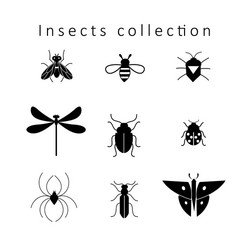 Insects black set Royalty Free Vector Image - VectorStock