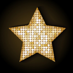 Gold shiny star Royalty Free Vector Image - VectorStock