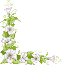 Flower Corner Borders