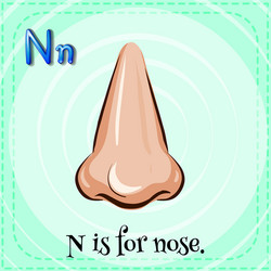 Flashcard letter n is for nose Royalty Free Vector Image