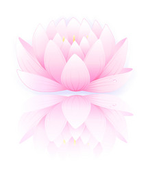 Pink Lotus Vector Images (over 7,200)
