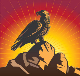 Eagle Vector Images (over 73,000)