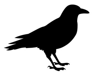 Raven Vector Images (over 7,600)