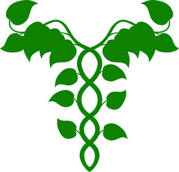 Holistic Vector Images (over 9,900)