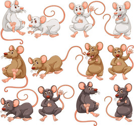 Little mouse with brown fur Royalty Free Vector Image