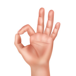 Hand showing okay Royalty Free Vector Image - VectorStock