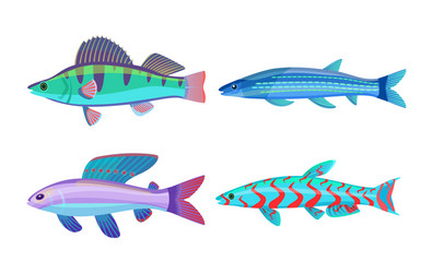 Set marine fish Royalty Free Vector Image - VectorStock