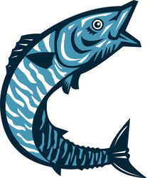 Wahoo Vector Images (43)