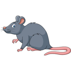 Cute mouse cartoon on white background Royalty Free Vector