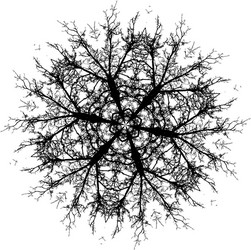Mandala Tree Vector Images (over 1,100)