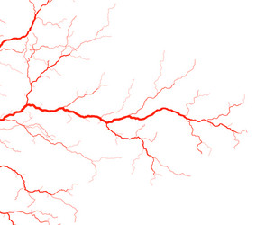 Red veins anatomy blood vein artery or capillary Vector Image