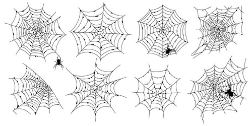 Spider Line Art Vector Images (over 5,600)