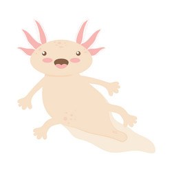 Axolotl icon image Royalty Free Vector Image - VectorStock