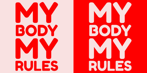 My body rules placard with the lettering Vector Image